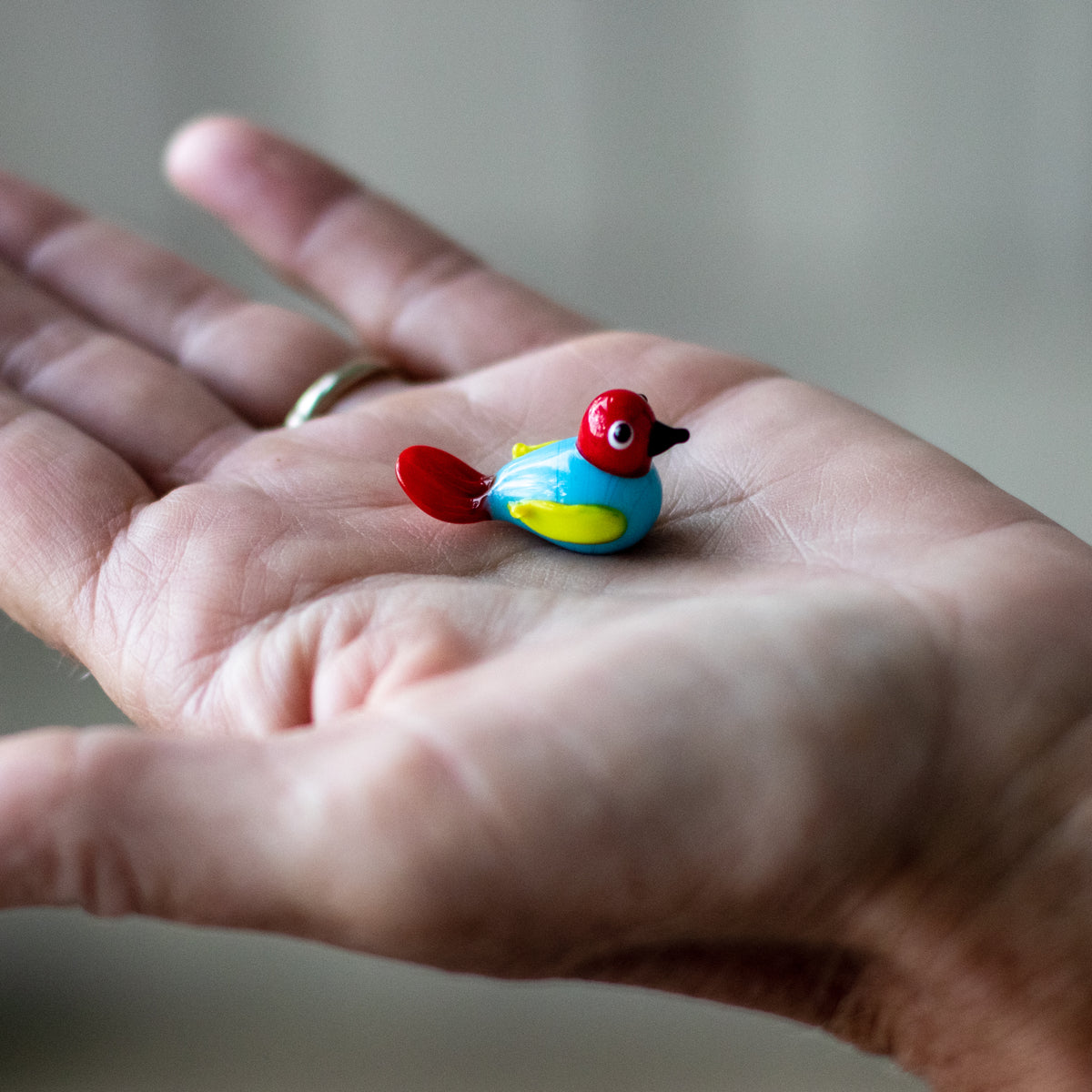 The Story Behind Little Bird Press - Part 2 – Little Bird Press Online